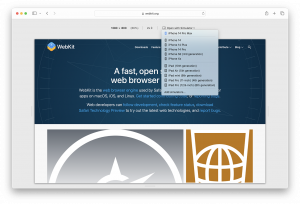 WebKit Features in Safari 17.0 | WebKit